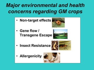11 genomic approaches to monitoring the effects of gmo | PDF