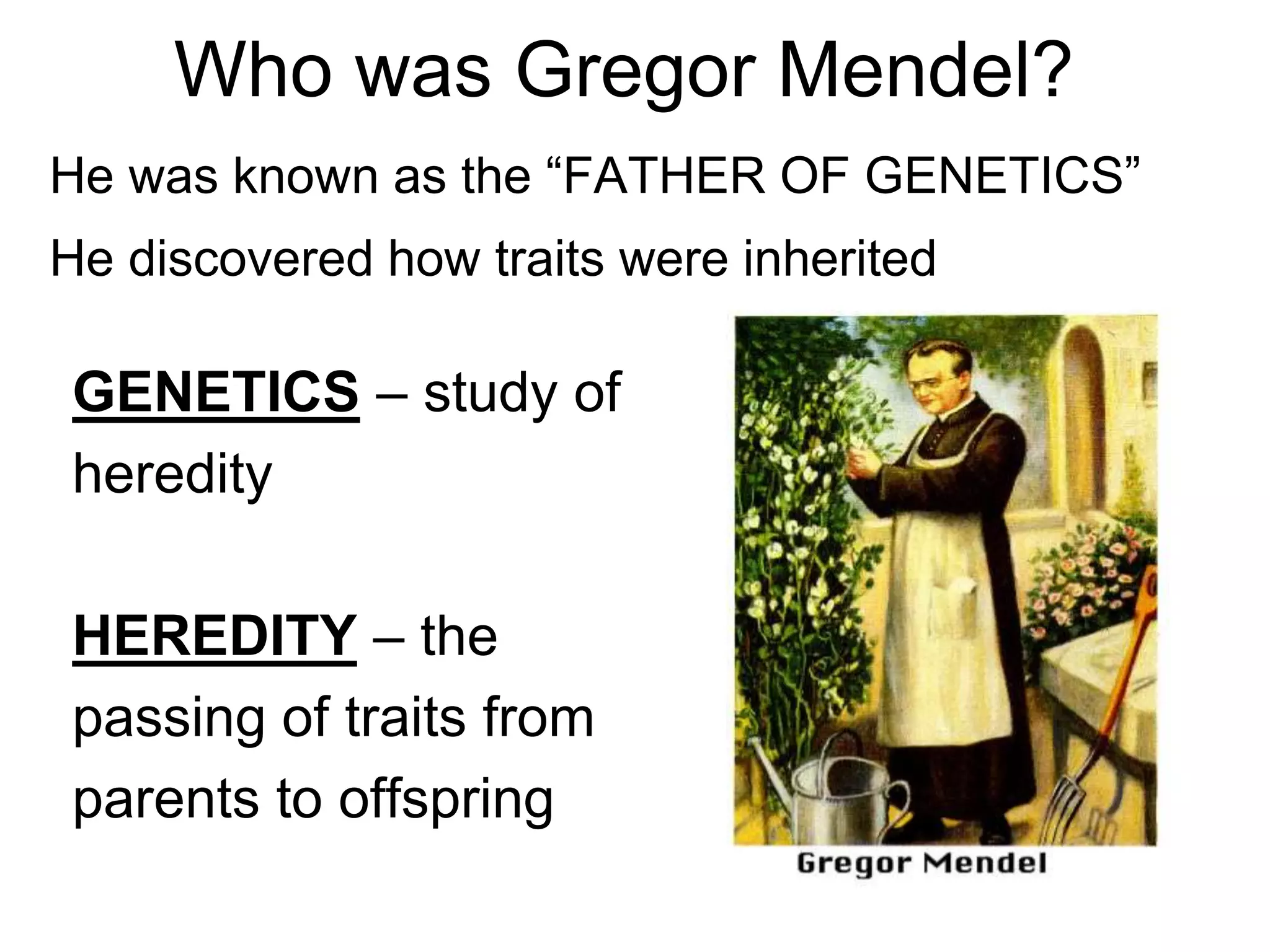 11 gregor mendel | PPTX