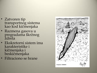 11 hordati,plastasi i kopljasi | PPT