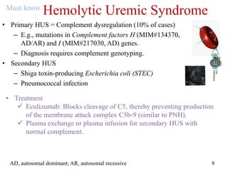 HUS.ppt