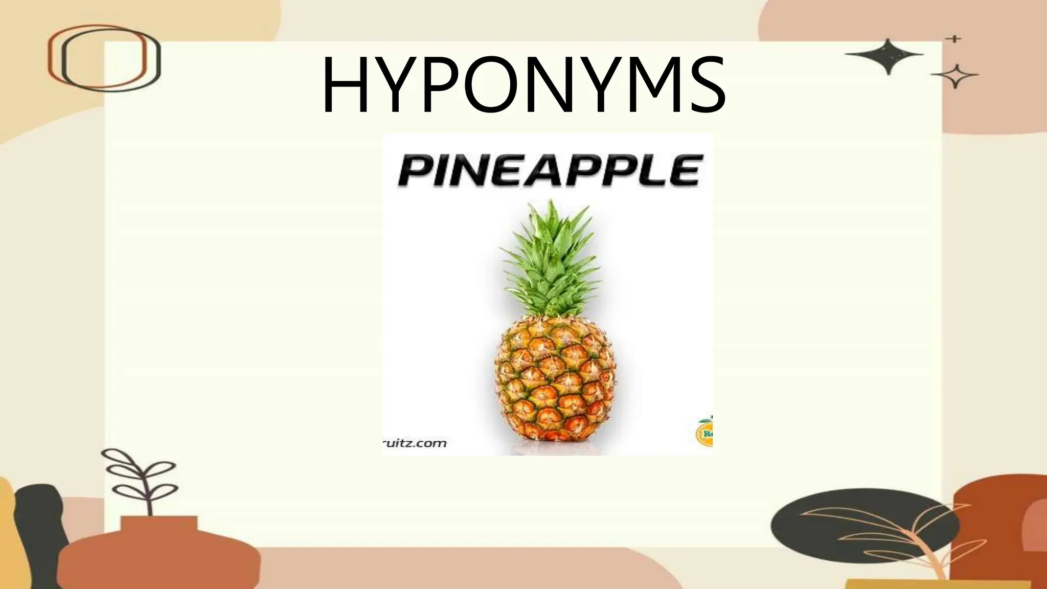 EXAMPLES OF HYPONYMS FRUIT PICTURES WITH NAME.pptx