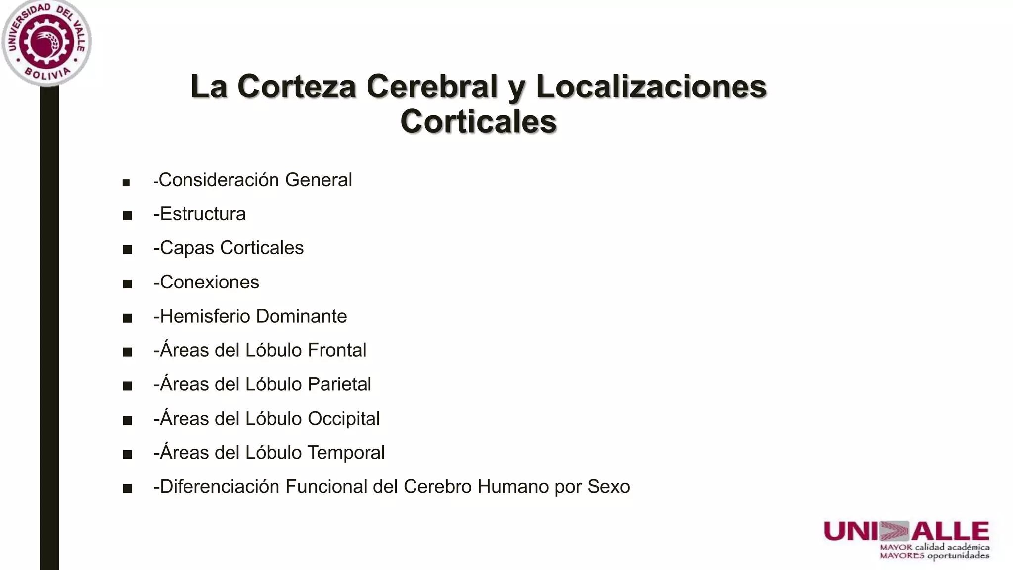 Configuración Externa del Cerebro y Localizaciones Corticales | PPSX