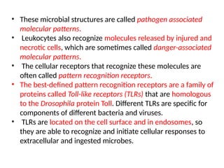 11_Immunology Lecture 1 by a prof of chem.pptx