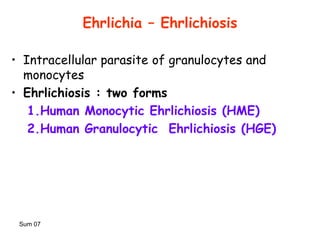 11 infectious disease Chlamydia ,Rickettsiae,Ehrlichia | PPT