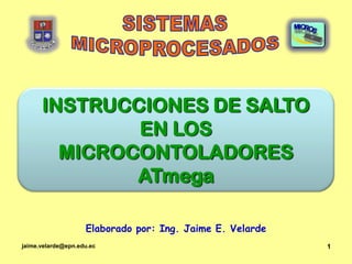 11 Instrucciones de Salto de los Atmega | PPTX | Programming Languages | Computing