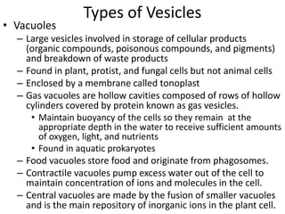 11 introduction to cell biology 5 | PPTX