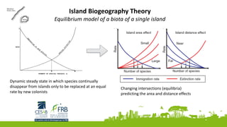 Community assembly on remote islands: does equilibrium theory apply? | PPT