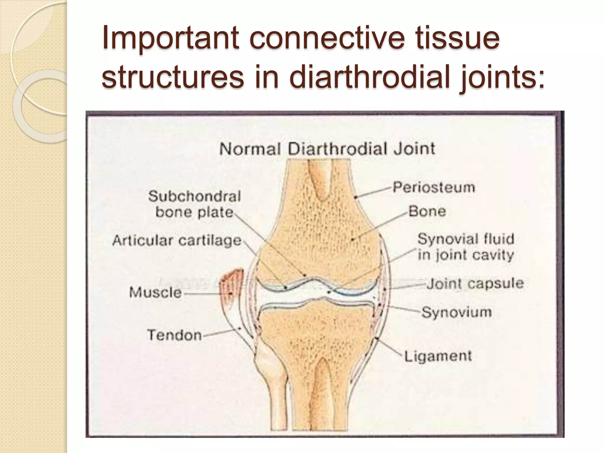 11 joints and motion | PPTX