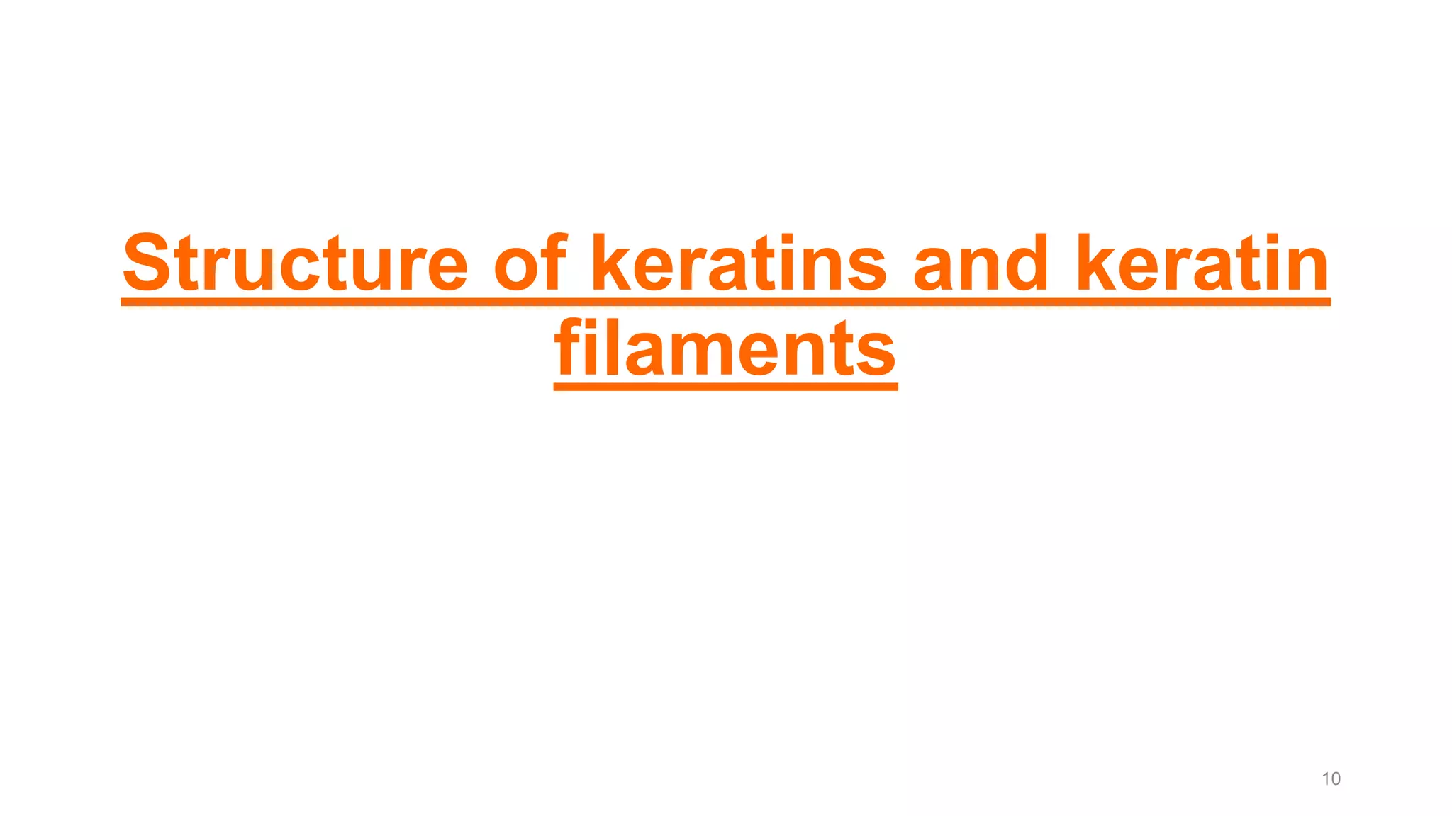keratin and keratinization | PPTX