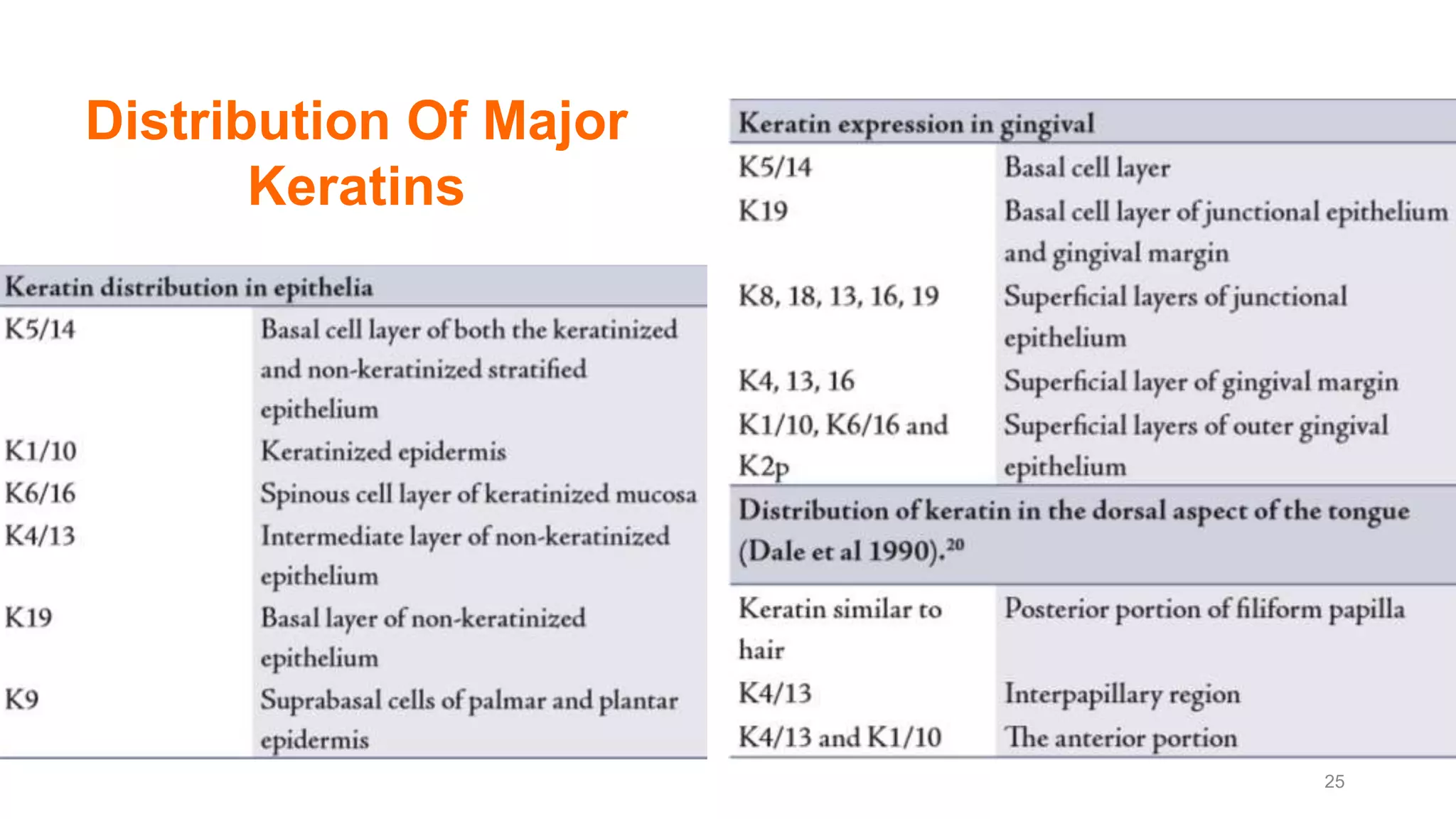 keratin and keratinization | PPTX