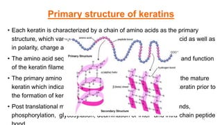 Keratin Structure And Function