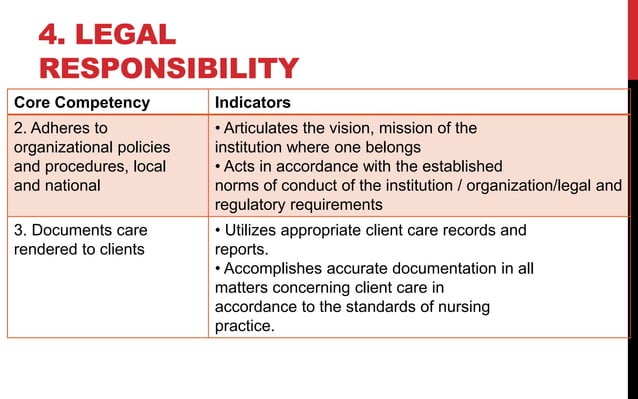 11 key areas of responsibility | PPTX | Parenting Babies and Toddlers ...