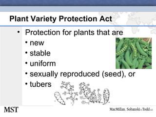11-U.S. Plant-Related Intellectual Property Protection | PPT