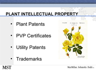 11-U.S. Plant-Related Intellectual Property Protection | PPT