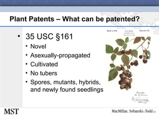 11-U.S. Plant-Related Intellectual Property Protection | PPT