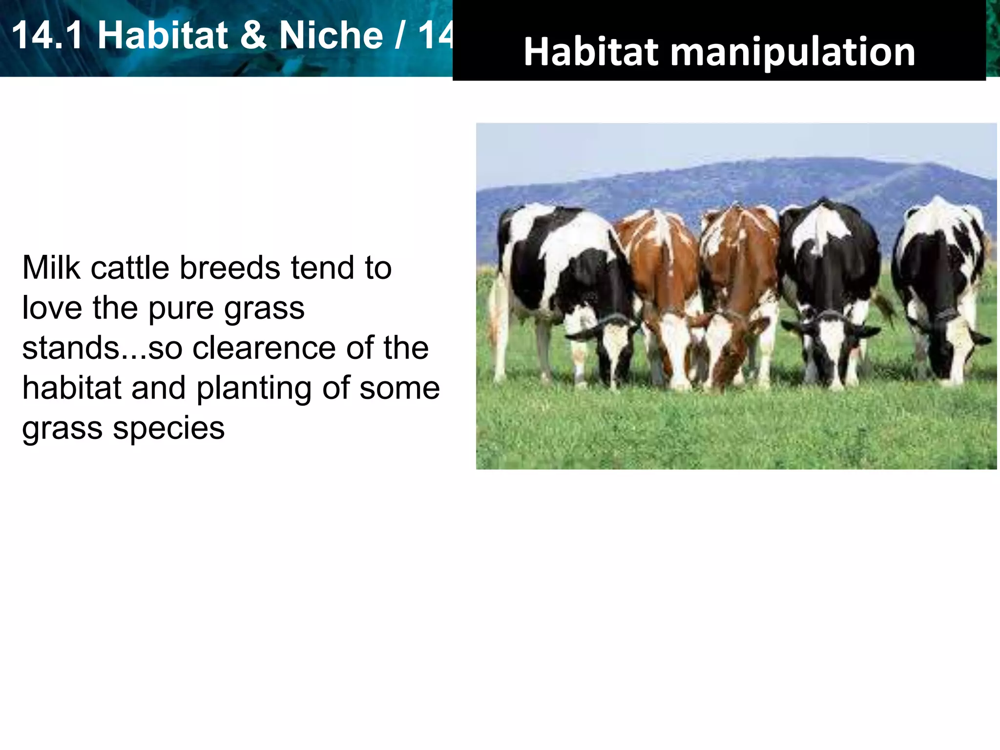 Wildlife_Habitats.ppt