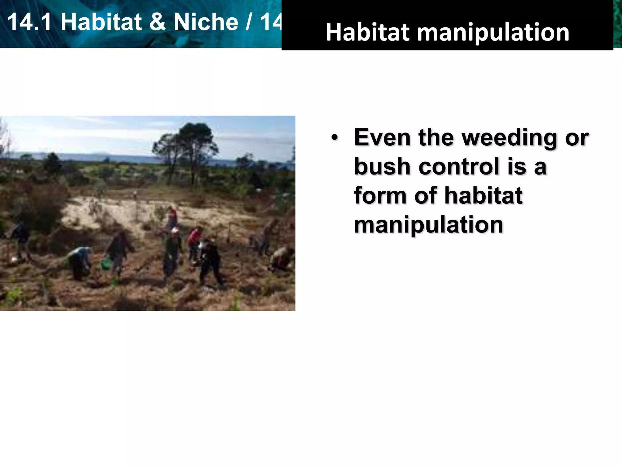 Wildlife_Habitats.ppt