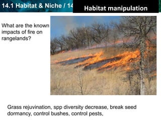 Wildlife_Habitats.ppt