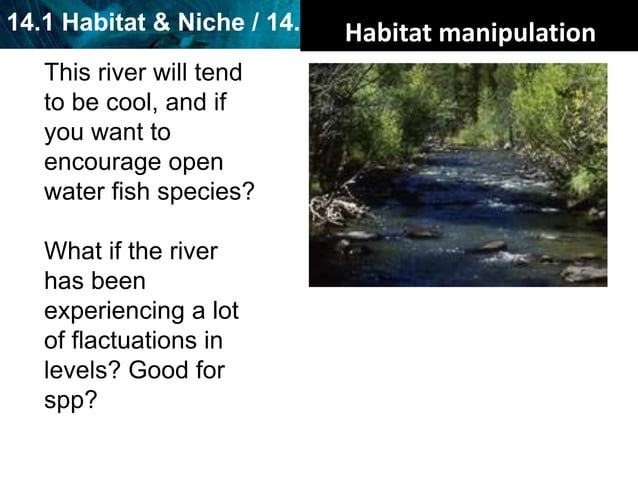 Wildlife_Habitats.ppt | Geography | Science