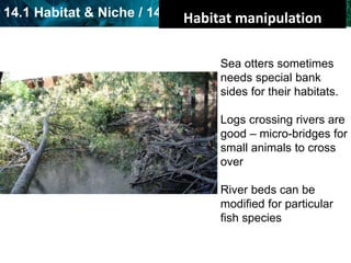 Wildlife_Habitats.ppt