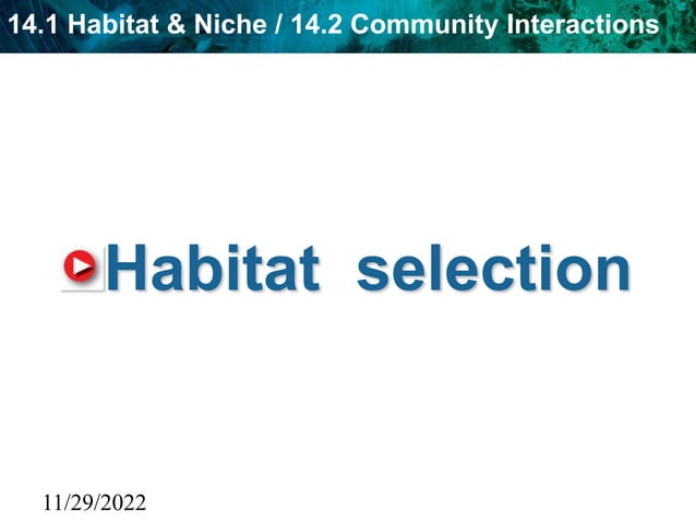 Wildlife_Habitats.ppt | Geography | Science