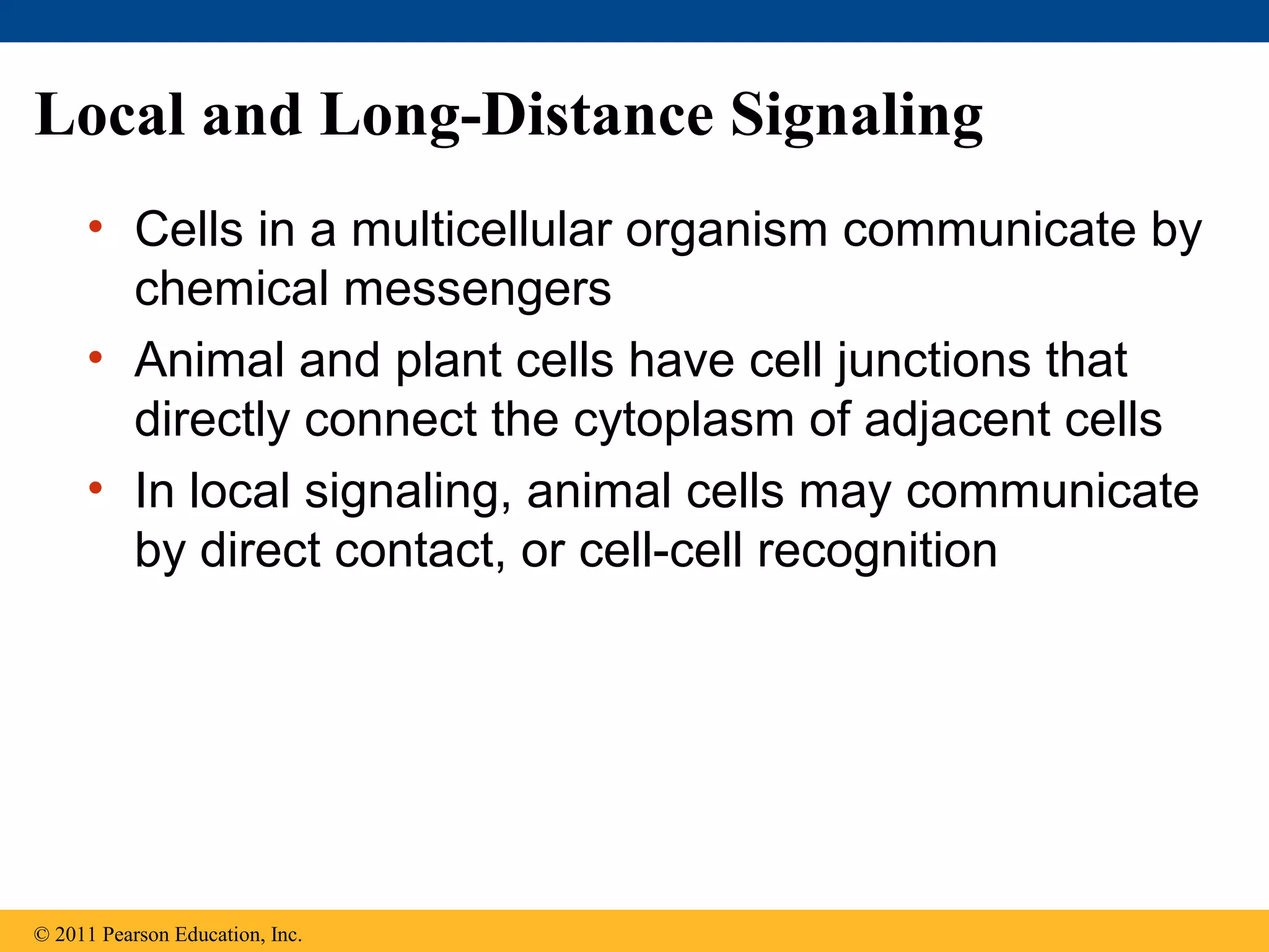 Ch 11: Cell Communication | PPT