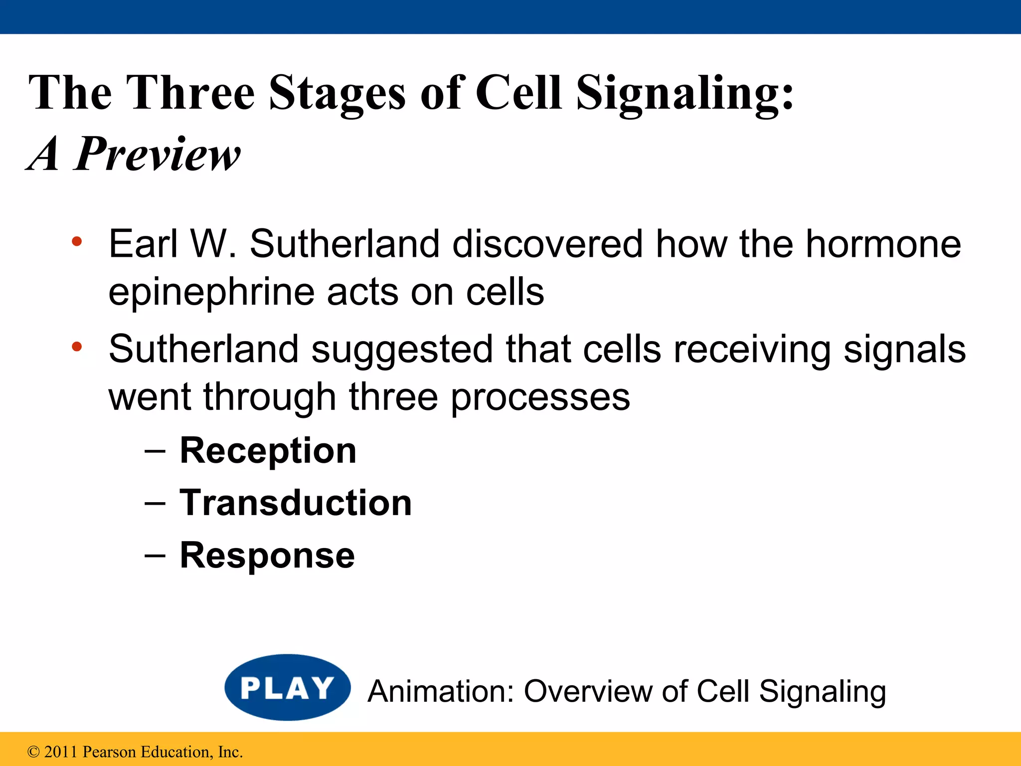 Ch 11: Cell Communication | PPT | Endocrine and Metabolic Diseases ...