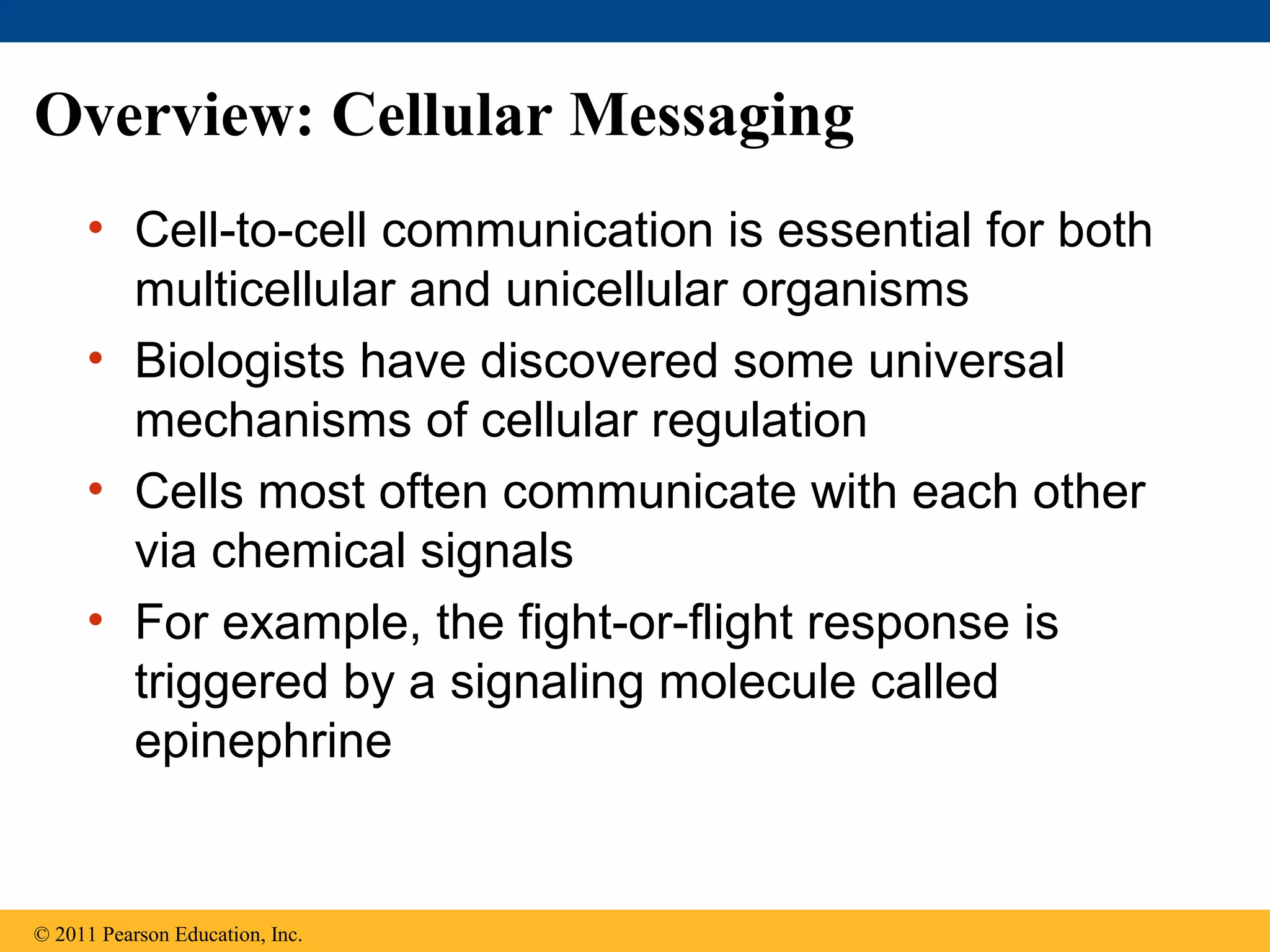 Ch 11: Cell Communication | PPT