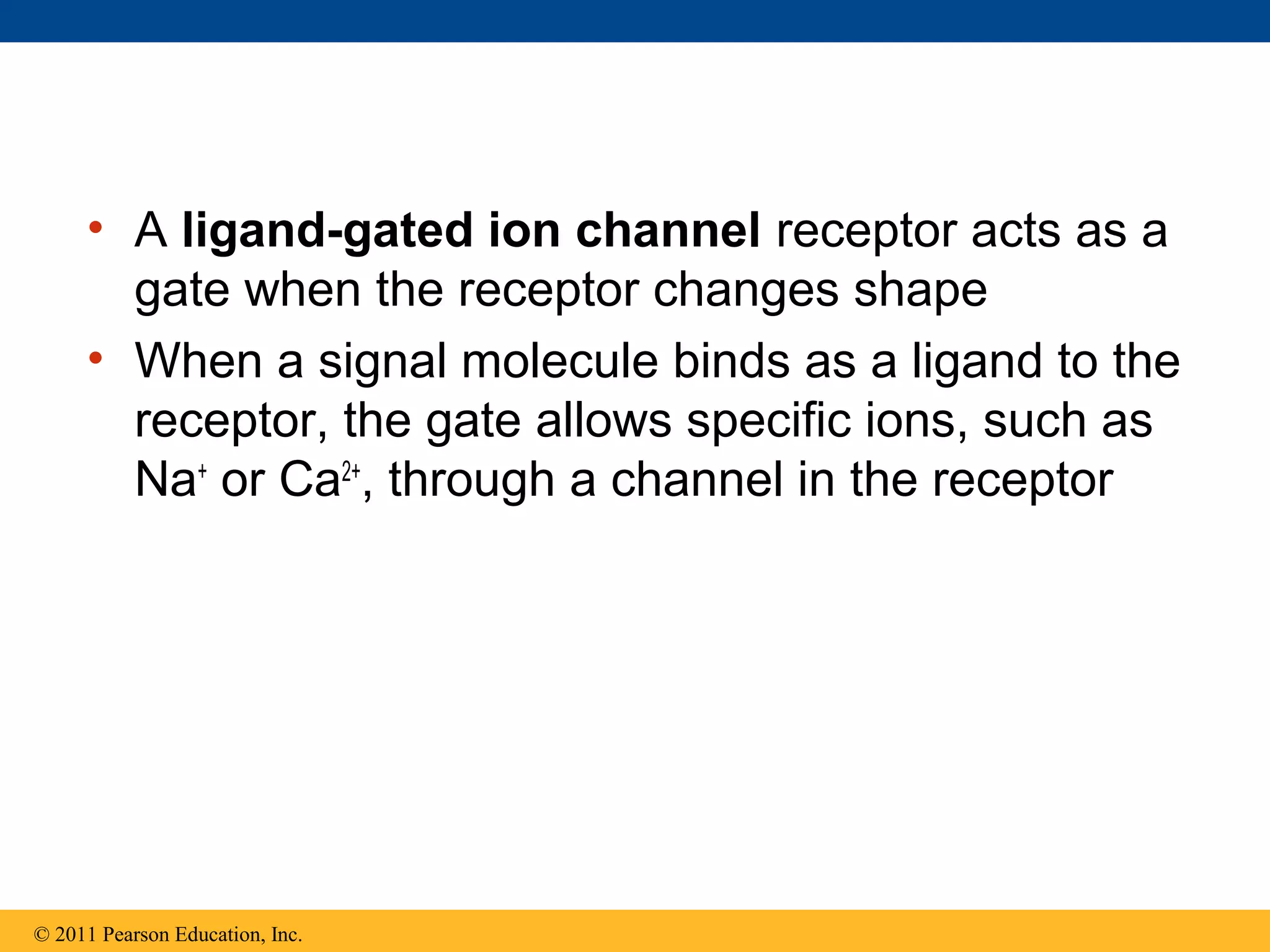 Ch 11: Cell Communication | PPT | Endocrine and Metabolic Diseases ...