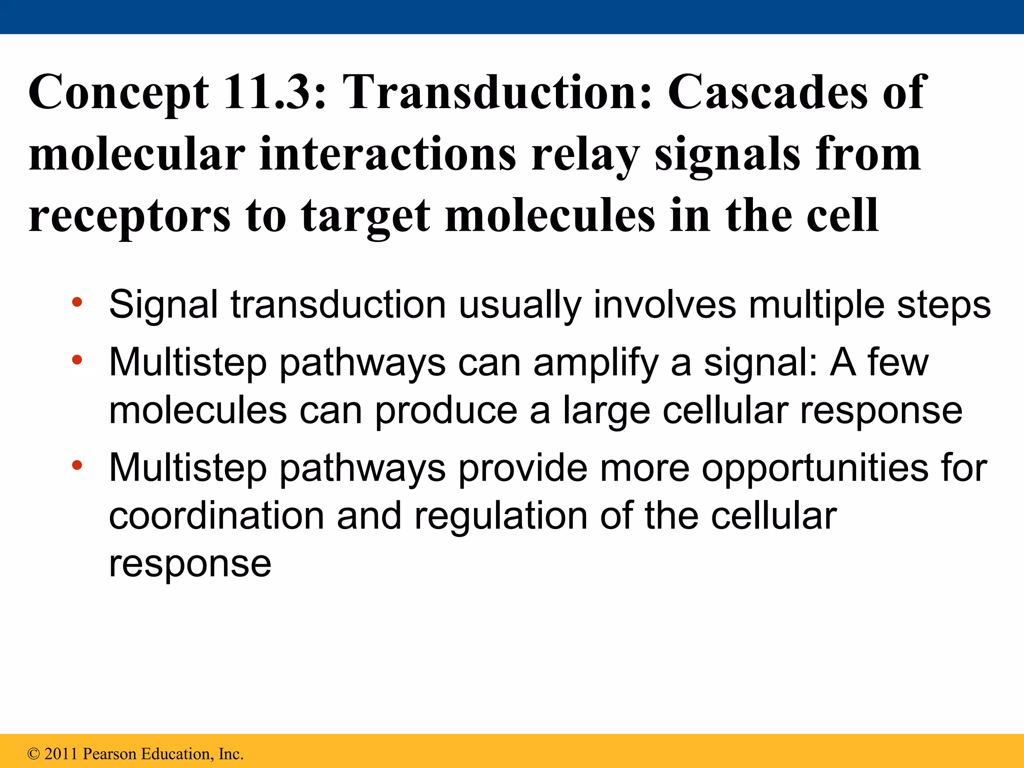 Ch 11: Cell Communication | PPT | Endocrine and Metabolic Diseases ...