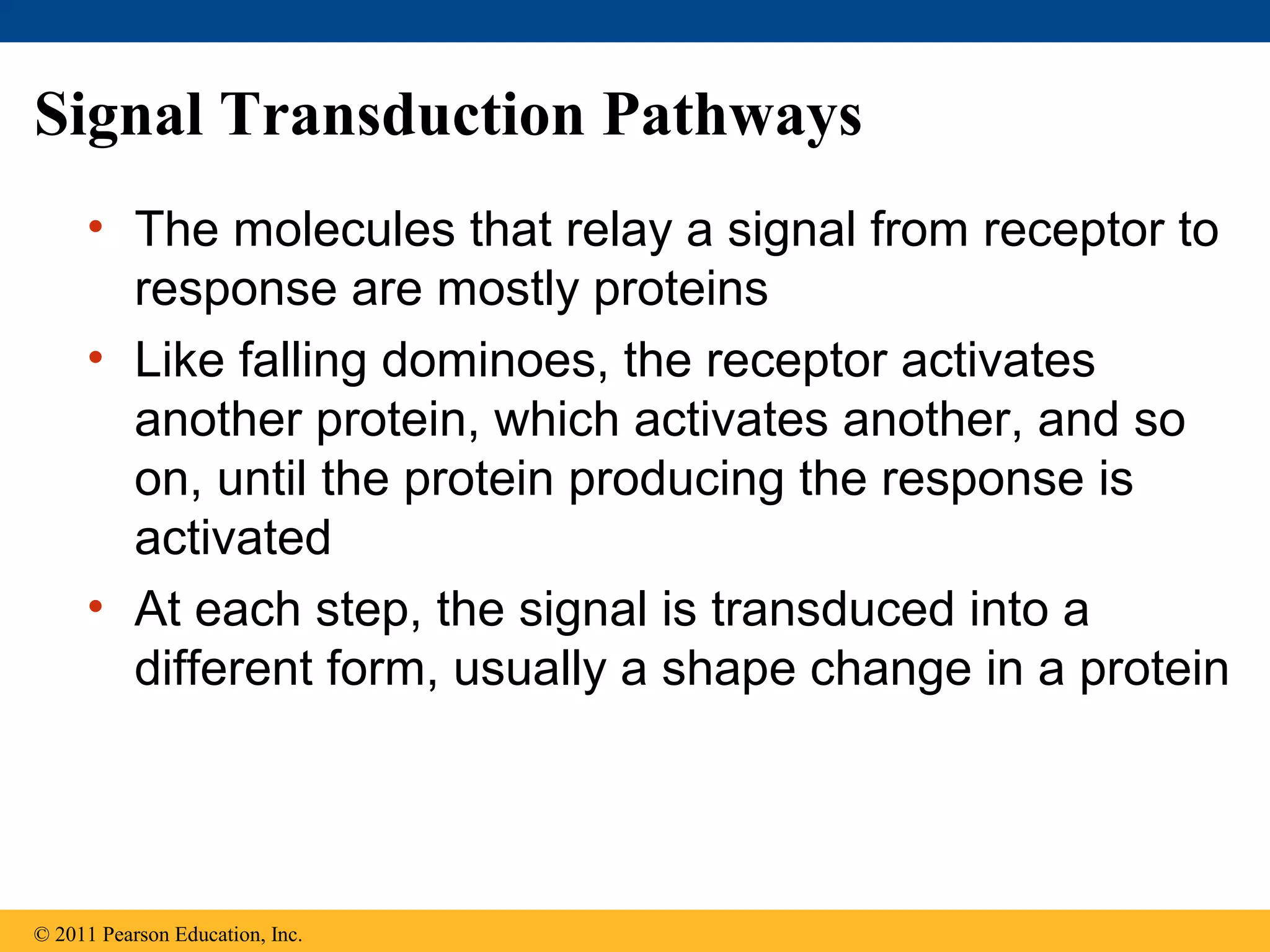 Ch 11: Cell Communication | PPT