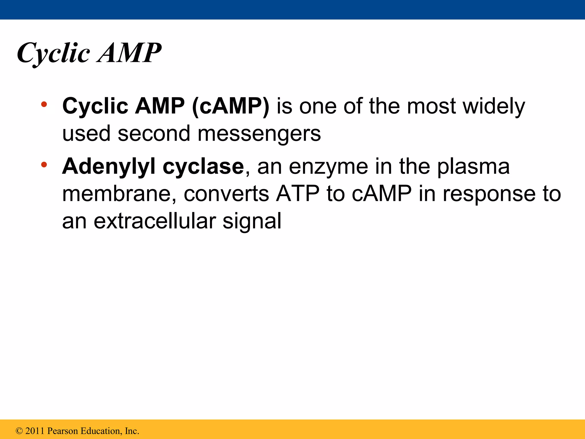 Ch 11: Cell Communication | PPT