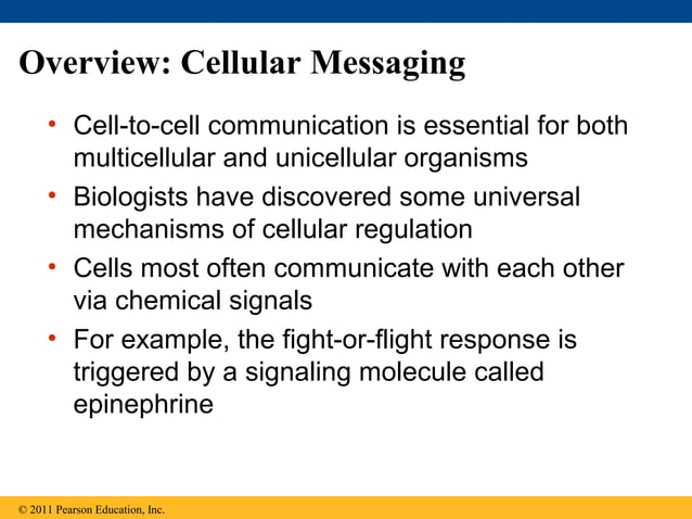 Ch 11: Cell Communication | PPT