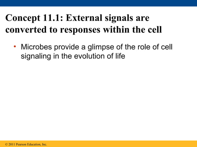Ch 11: Cell Communication | PPT | Endocrine and Metabolic Diseases ...