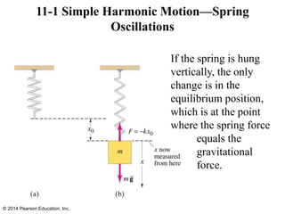 Simple harmonic motion PowerPoint presentation | PPTX