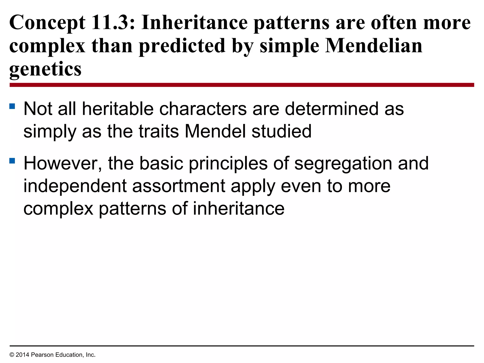 Biology in Focus - Chapter 11 | PPT