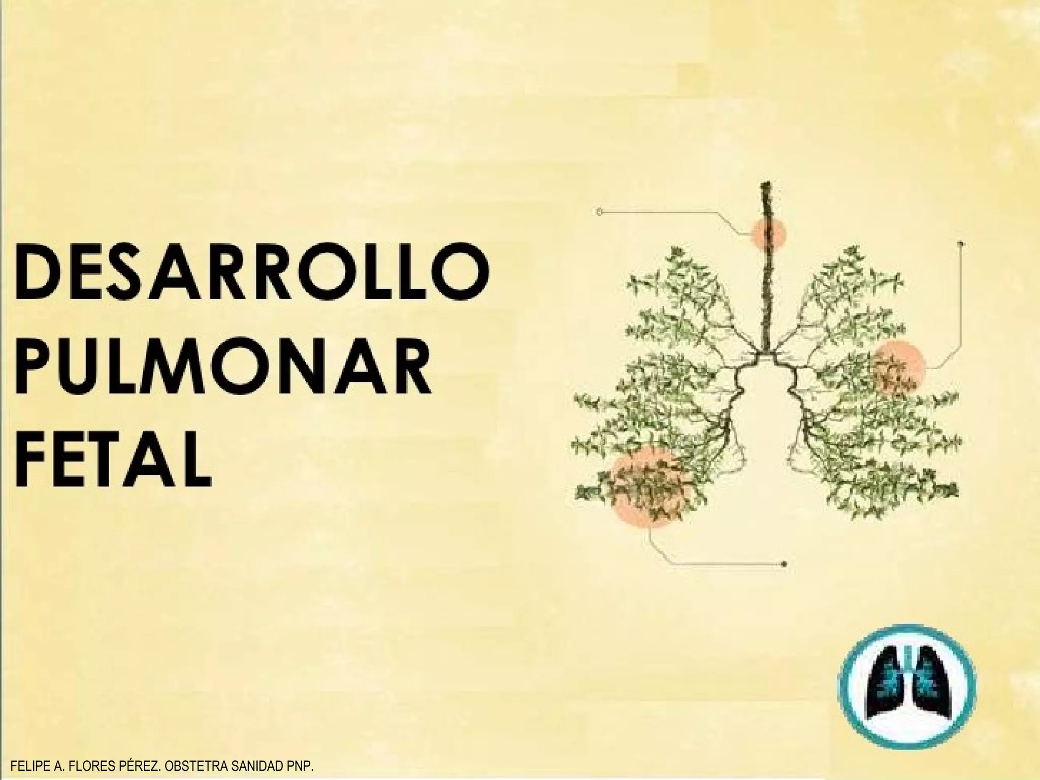 Maduración pulmonar fetal. Corioamnionitis. Shock septico | PPT