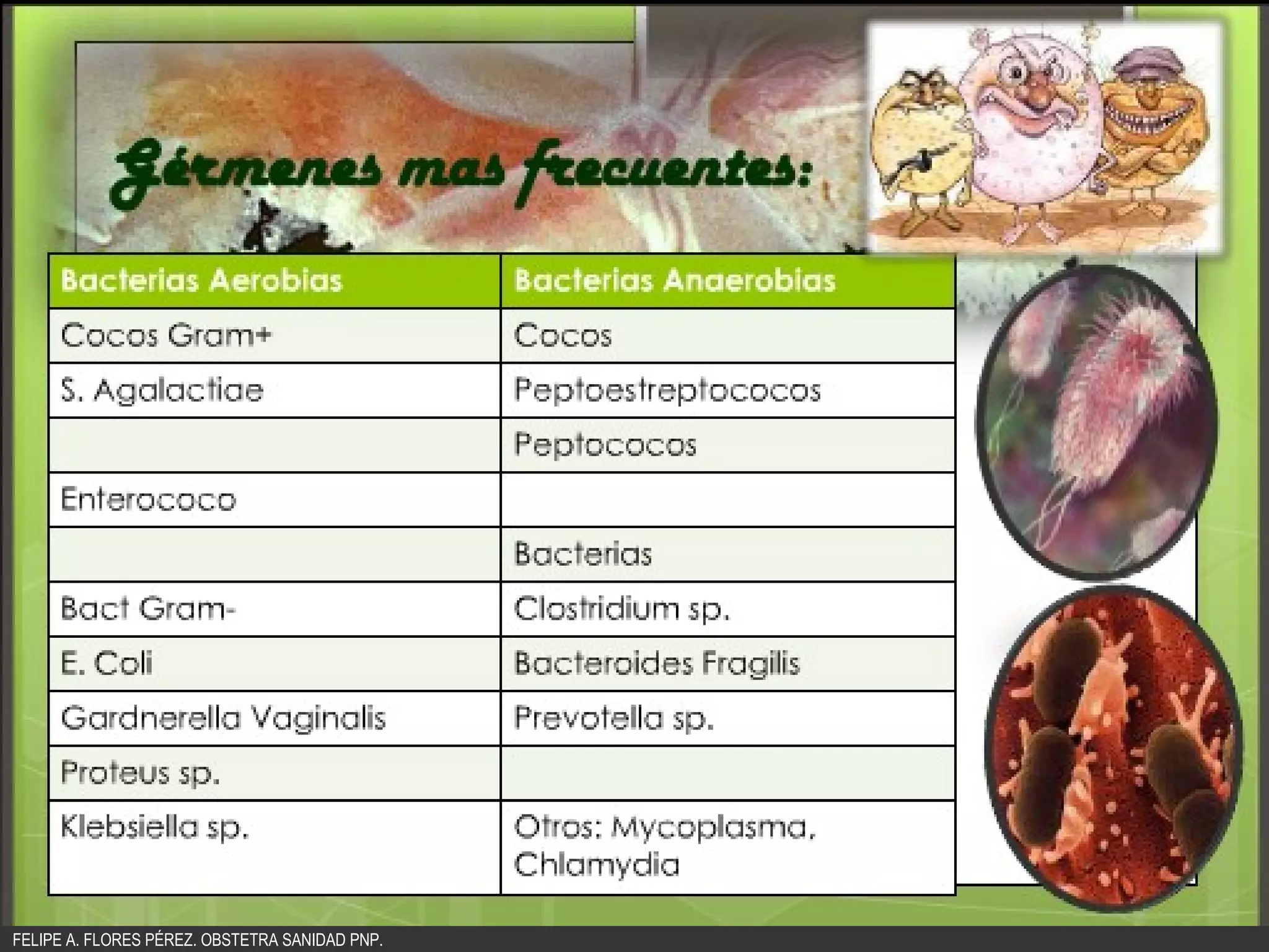 Maduración pulmonar fetal. Corioamnionitis. Shock septico | PPT