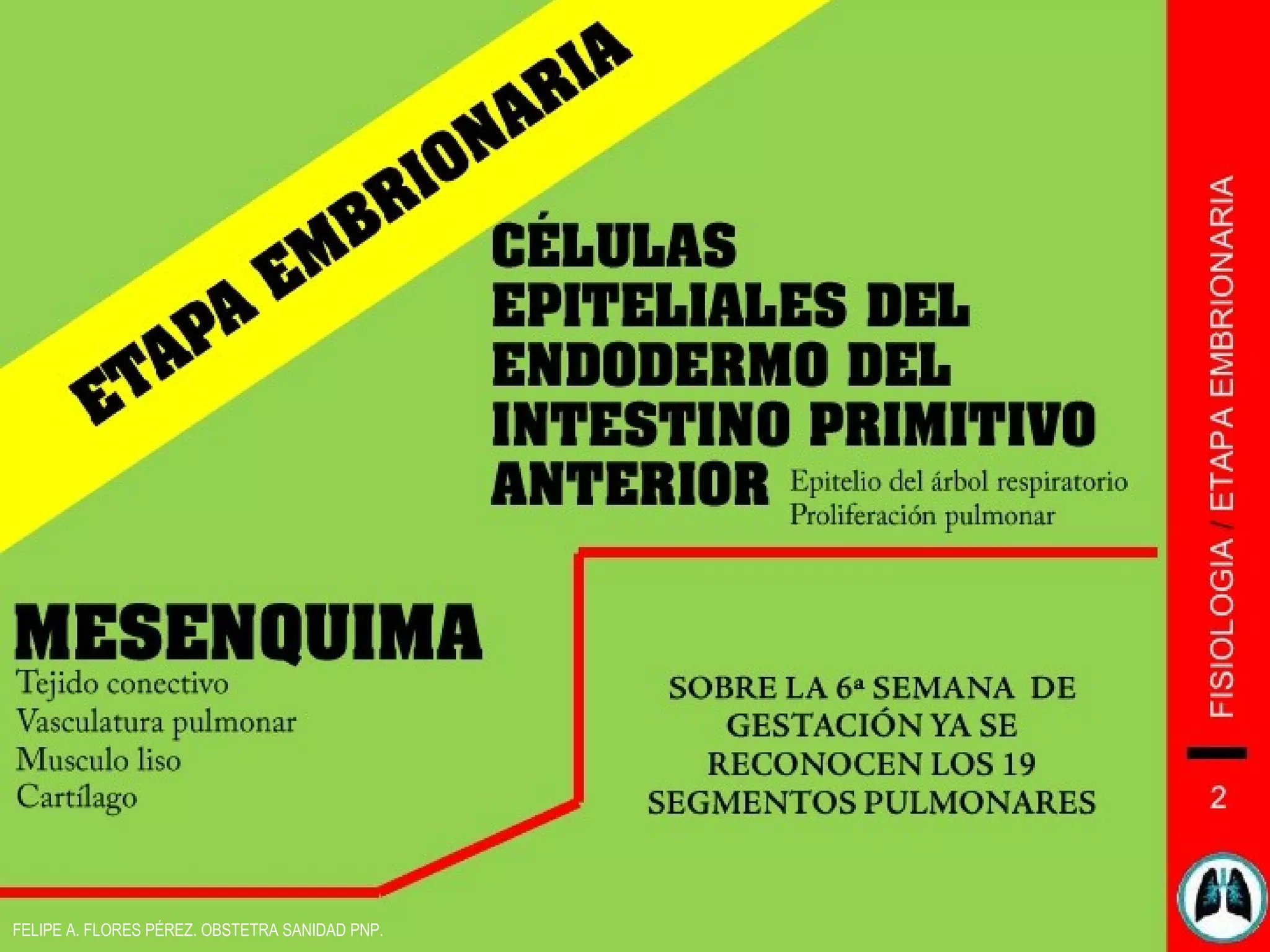 Maduración pulmonar fetal. Corioamnionitis. Shock septico | PPT