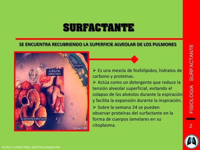 Maduración pulmonar fetal. Corioamnionitis. Shock septico | PPT