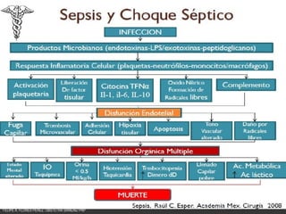 Maduración pulmonar fetal. Corioamnionitis. Shock septico | PPT