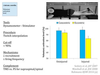 Nicola A. Maffiuletti - Hamstring Injuries | PPT
