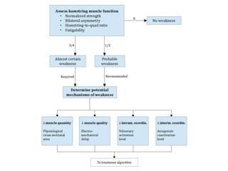 Nicola A. Maffiuletti - Hamstring Injuries | PPT