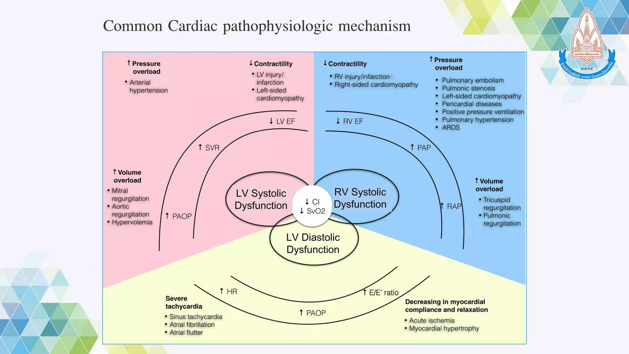 11_Management Post operative Low Cardiac Output Syndrome.pdf