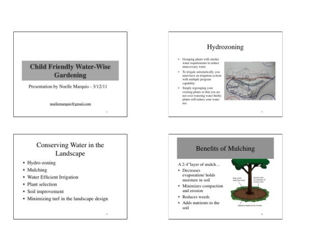 Child Friendly Water-Wise Gardening