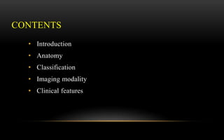 Differential diagnosis of haziness of maxillary sinus | PPTX
