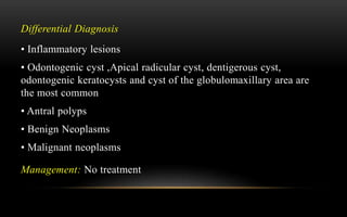 Differential diagnosis of haziness of maxillary sinus | PPTX