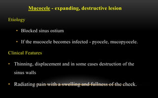 Differential diagnosis of haziness of maxillary sinus | PPTX