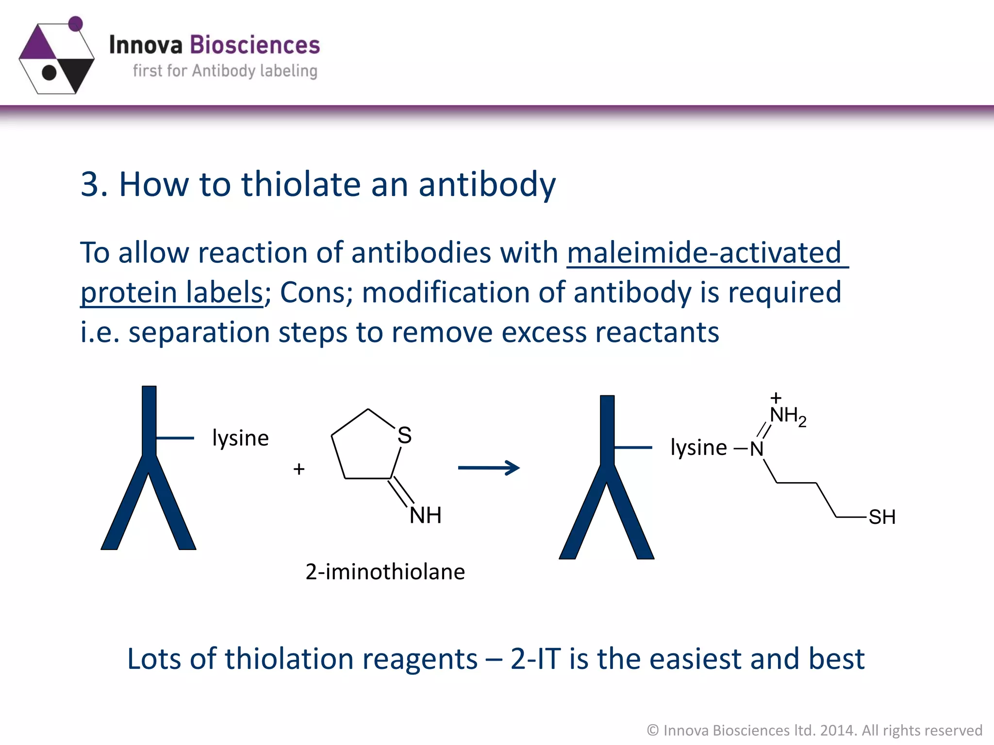 11 methods of antibody conjugation | PDF