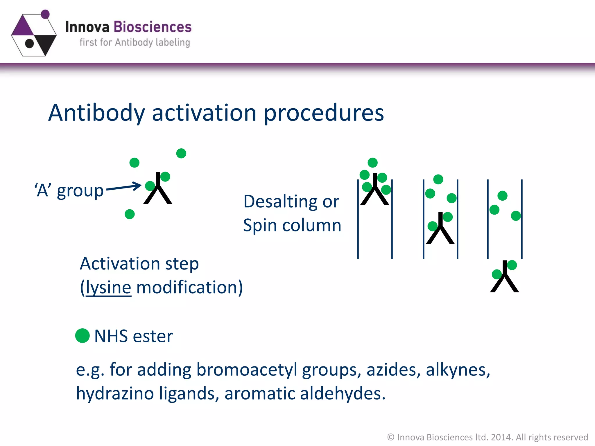 11 methods of antibody conjugation | PDF